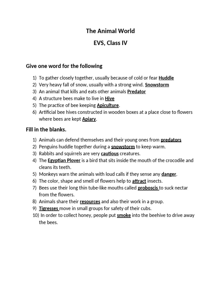 Anima World Worksheet Answers | PDF