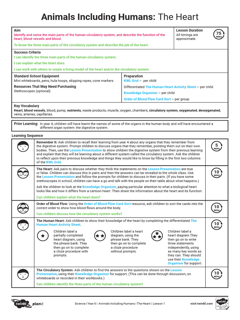 Lesson Plan - The Heart | PDF | Circulatory System | Heart