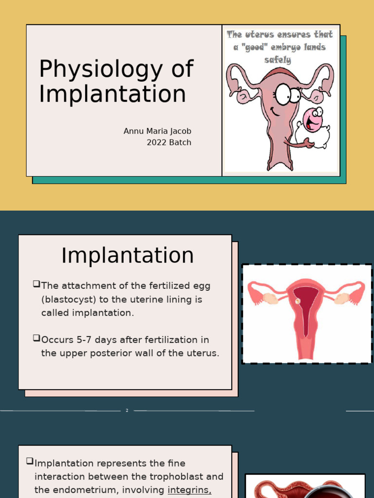 Physiology of Implantation | PDF | Anatomy | Reproduction