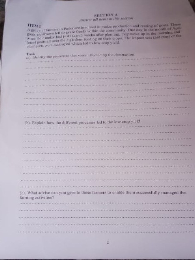 Activity of Integration 2 | PDF