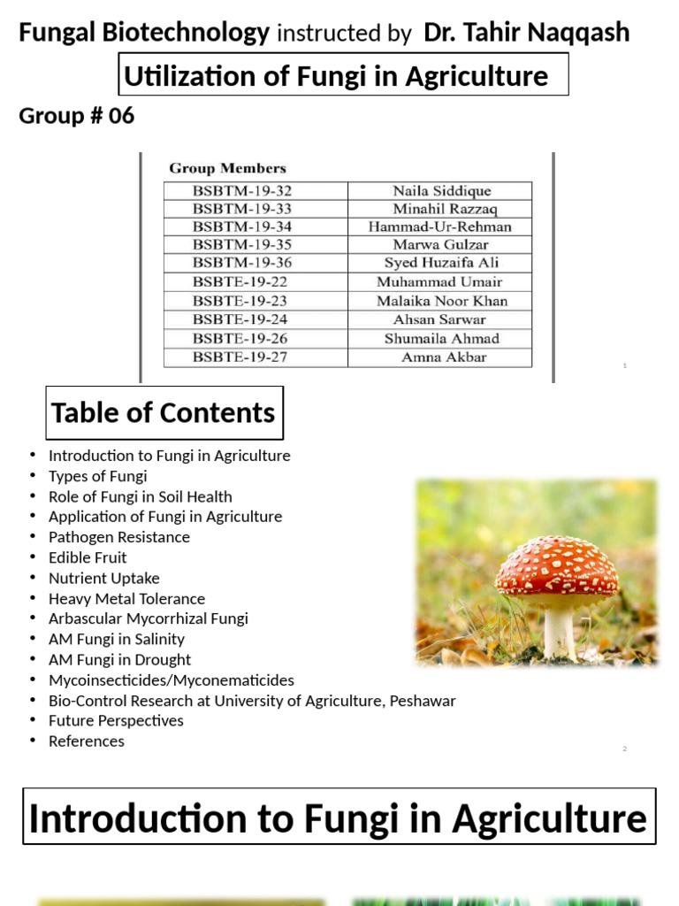 Utilization of Fungi in Agriculture-1 | PDF | Fungus | Soil