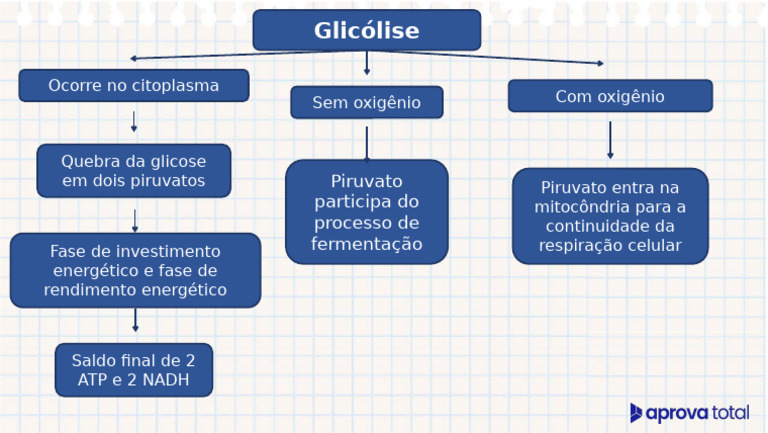 Mapa Mental Glicolise | PDF