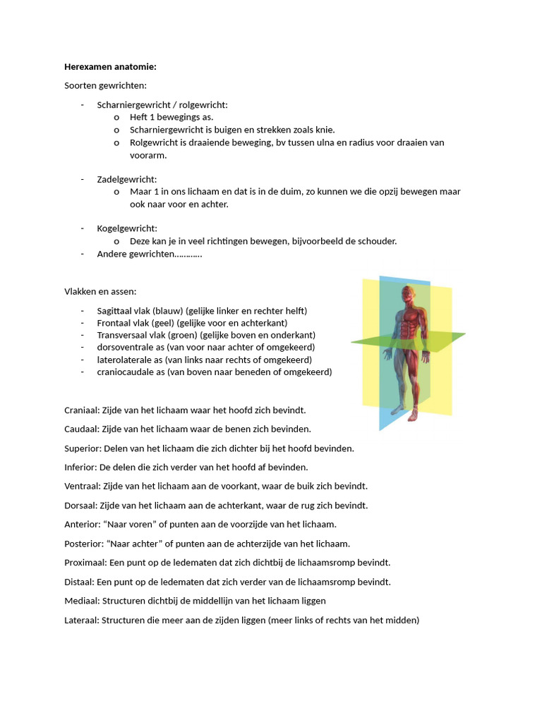 Herexamen Anatomie | PDF