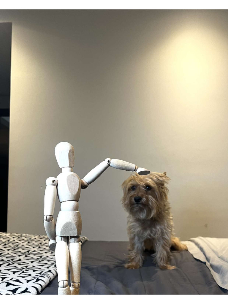 4C24BB56-7C6B-41CB-9C2E-8458FE036AFC | PDF