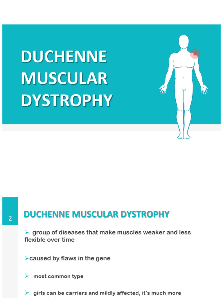 Duchenne | PDF | Musculoskeletal System | Diseases And Disorders