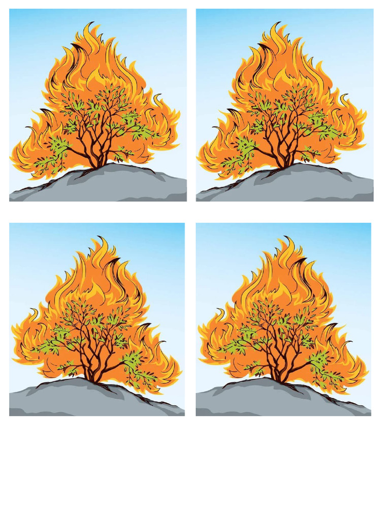 Burning Bush | PDF