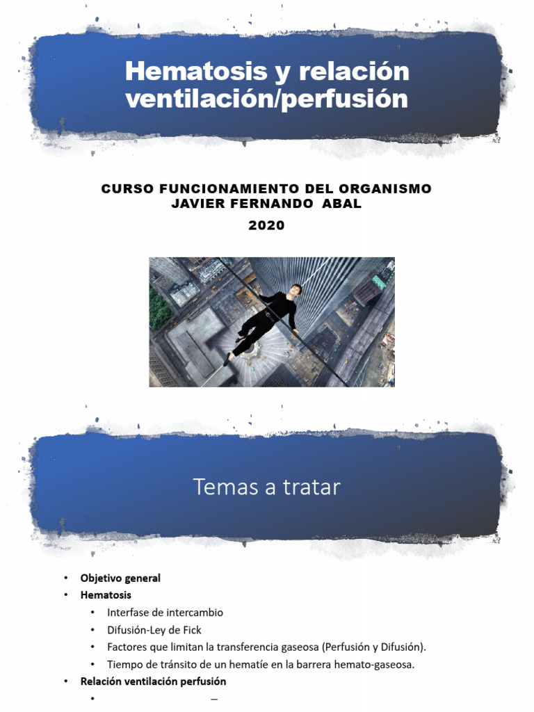 56 - Hematosis. Relación Ventilación Perfusión - Abal | PDF | Difusión | Pulmón