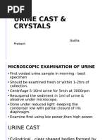 Urine Casts: Types and Reporting | PDF | Clinical Medicine | Kidney