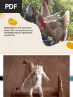 Breeds of Goats | PDF