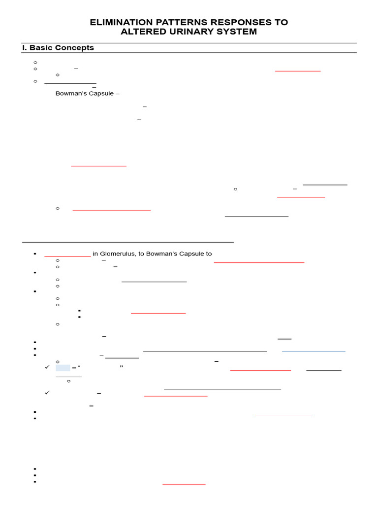 NCM 3114 - Altered Urinary Patterns | PDF | Urinary Tract Infection ...