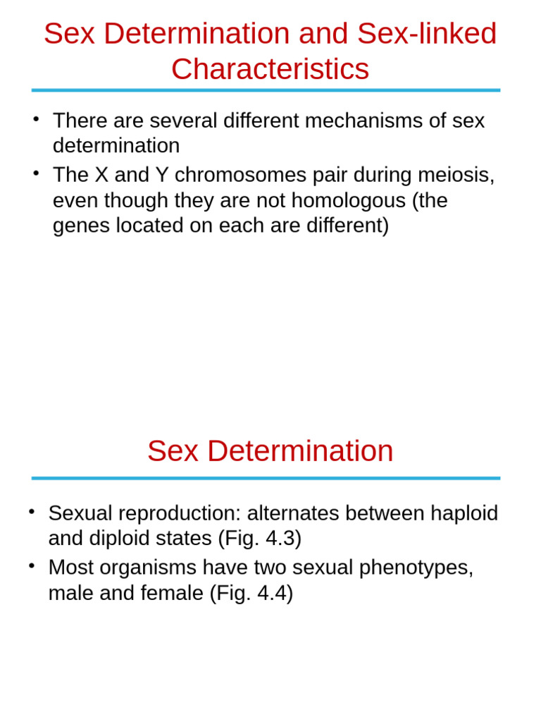 Chapter 4 Revised Slides | PDF | Sex | Male