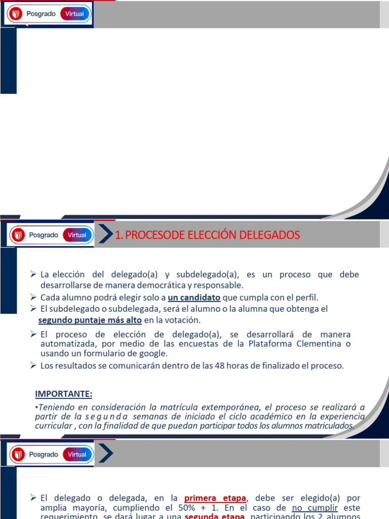 Lineamientos - Proceso de Elección de Delegados Epg - Ad - 2025-1 | PDF