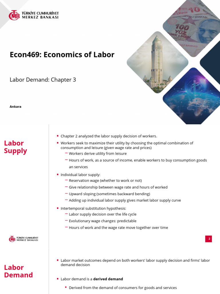 Econ469-Labor Economics-Borjas Ch3 | PDF | Labour Economics | Demand