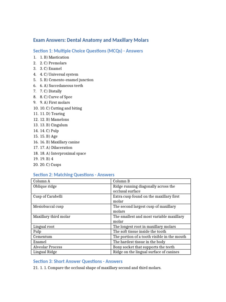 Complete Exam Answers Dental Anatomy | PDF | Dental Anatomy | Tooth