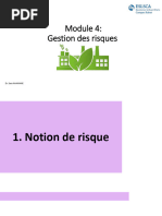 Support de Cours ISO 31000 V 2018 | PDF | Risque | Gestion des risques