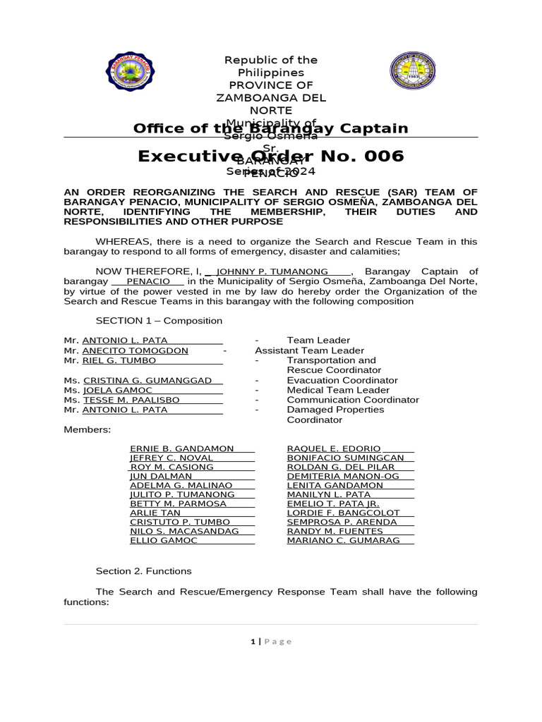 Executive Order No. 6-2024 (SAR) | PDF | Search And Rescue | Safety