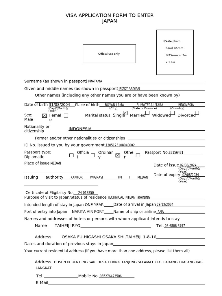 Formulir Visa Fuji San Rizky Ardian Pratama | PDF | Travel Visa | Justice