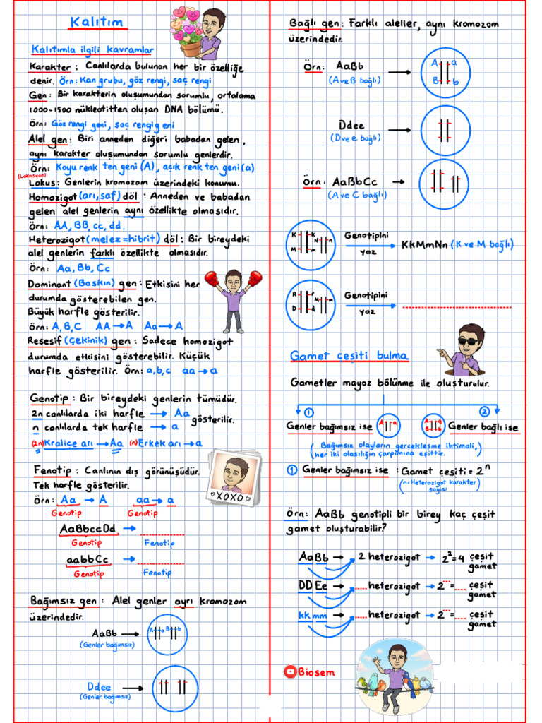 10.sinif Biyoloji 2.donem 1.yazili Genel Tekrar | PDF