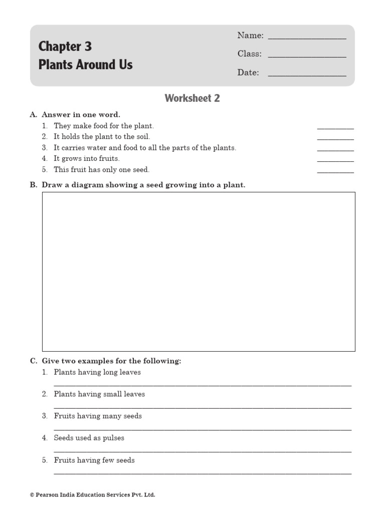 Plants Around Us Worksheet 2 | PDF