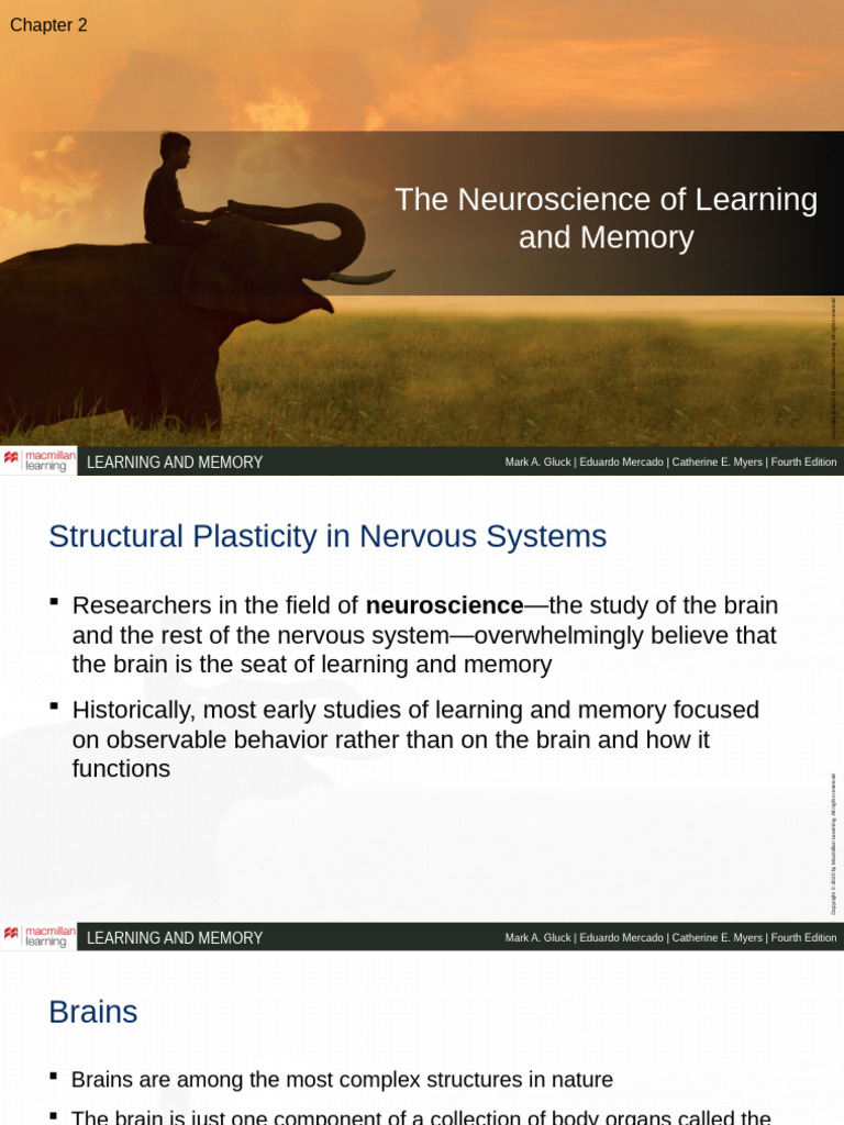 Gluck4e Lectureslides ch02 | PDF | Synapse | Neurotransmitter