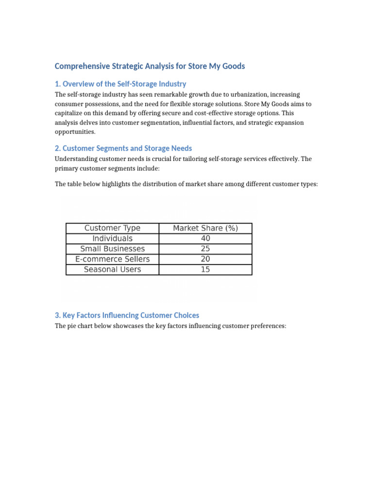 Strategic Analysis Store My Goods Extended | PDF | Market Segmentation ...