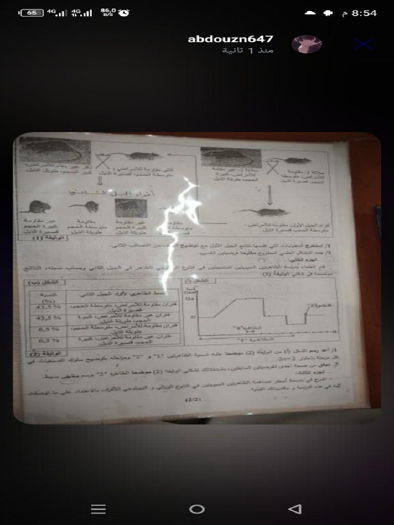 Converted Page | PDF