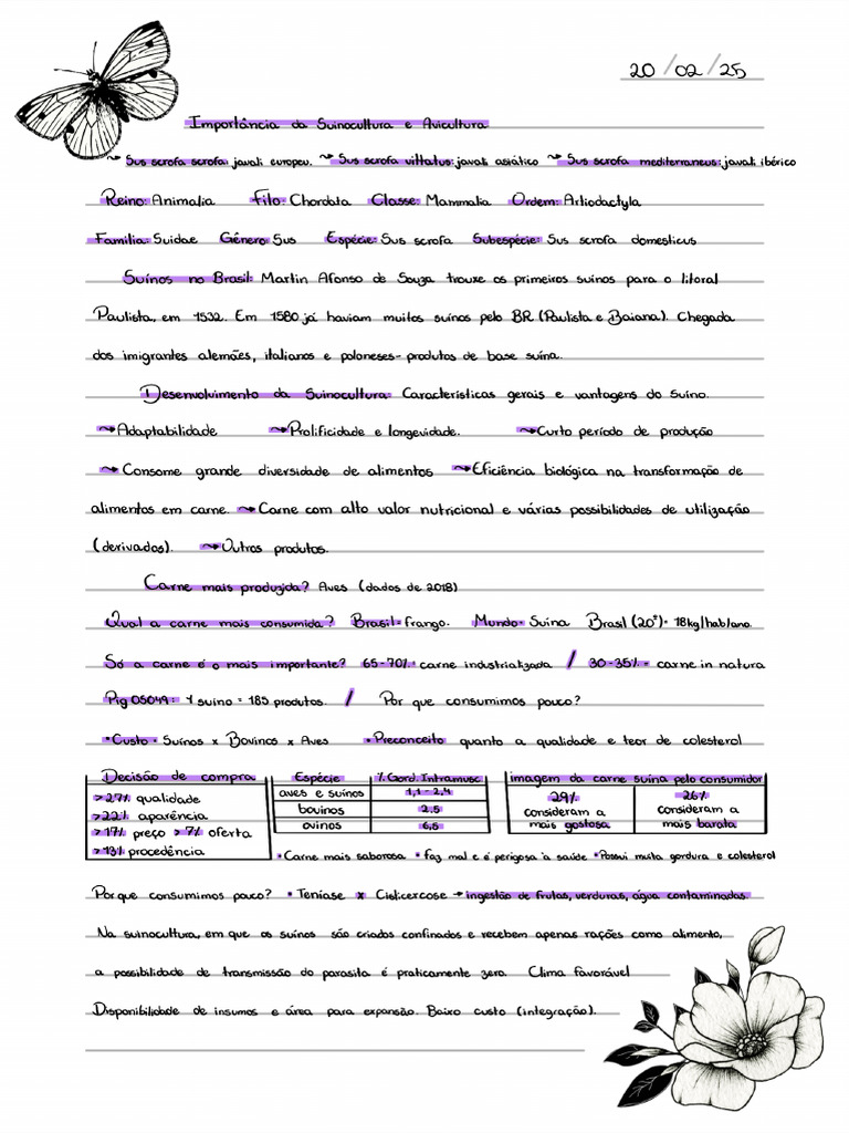 Caderno 250404 101326 | PDF