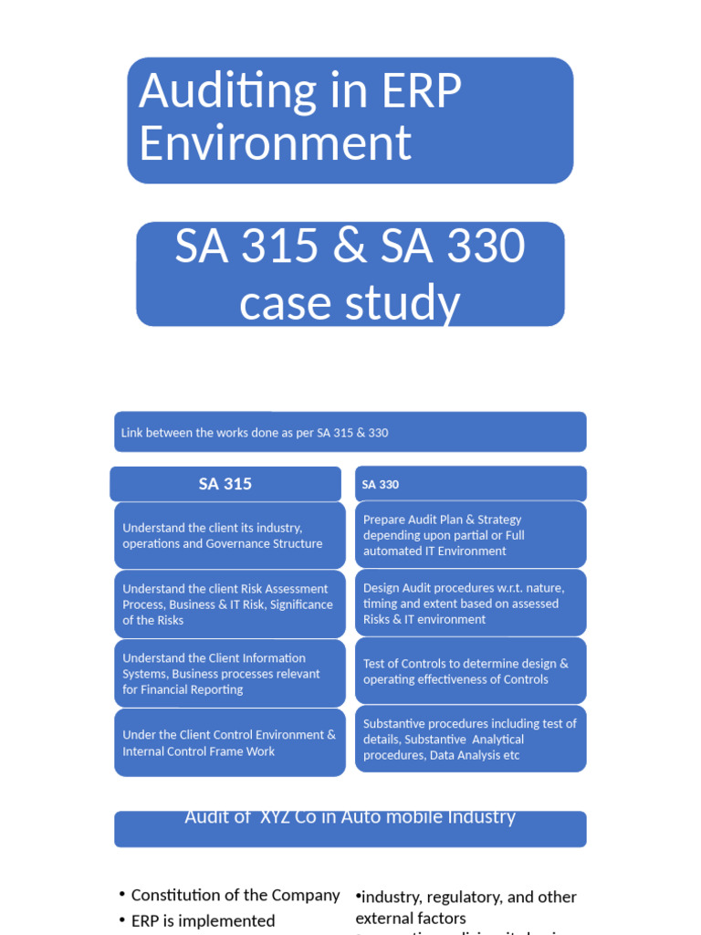 erp audit 1 case study format (1) | PDF