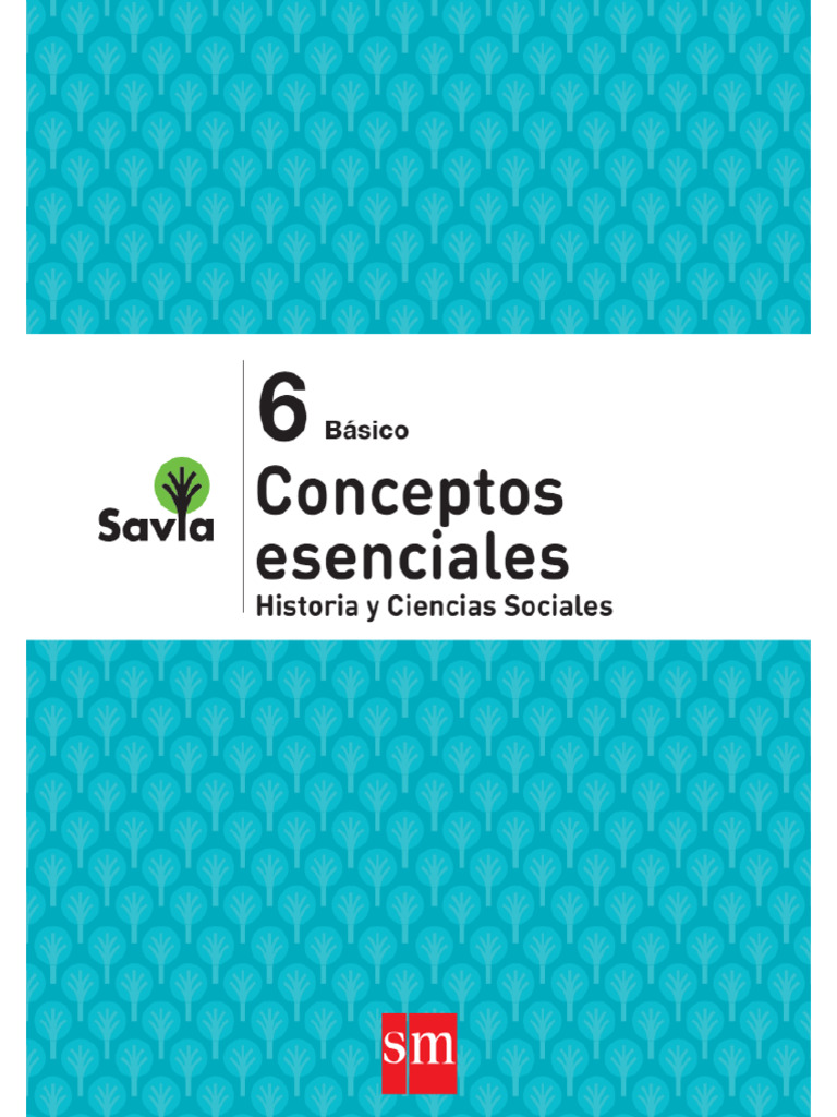 6° Básico Coceptos | PDF