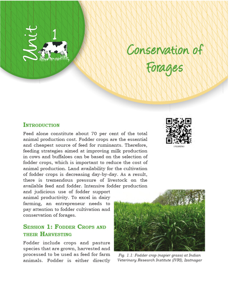 Fodder Crop Management for Dairy Farming | PDF | Hay | Agriculture