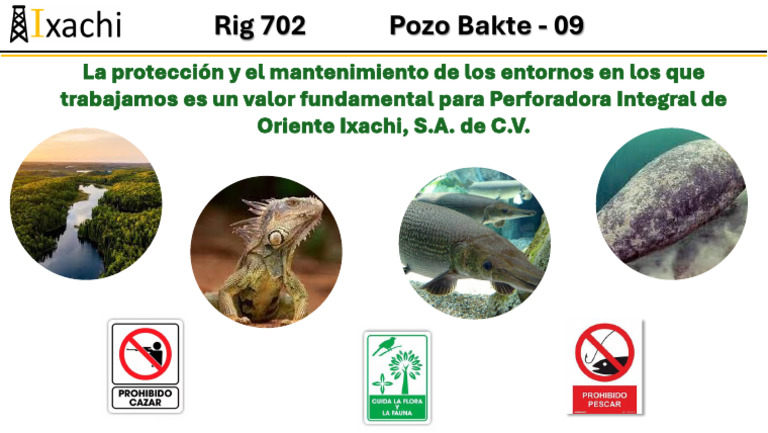 Mantenimiento y Protección en Perforadora Ixachi | PDF