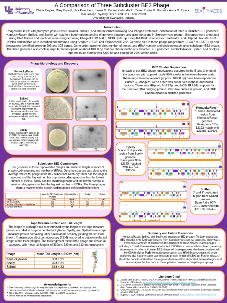 Phage Poster Final 2024 | PDF | Gene | Genome