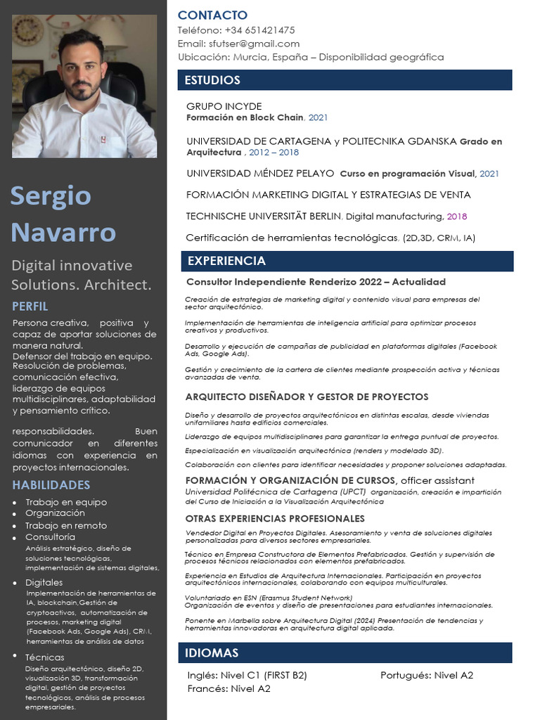 CV - Sergio Navarro | PDF | Publicidad digital | Inteligencia artificial