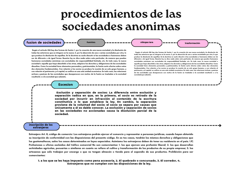Procedimientos de Las Sociedades Anonimas - 20250412 - 202252 - 0000 | PDF | Sociedad | Bienes (Ley)