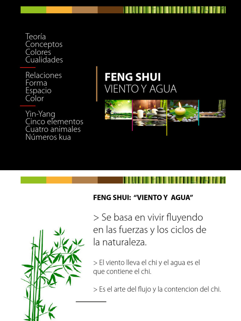 Introducción al Feng Shui: Viento y Agua | PDF | Feng Shui | Qi