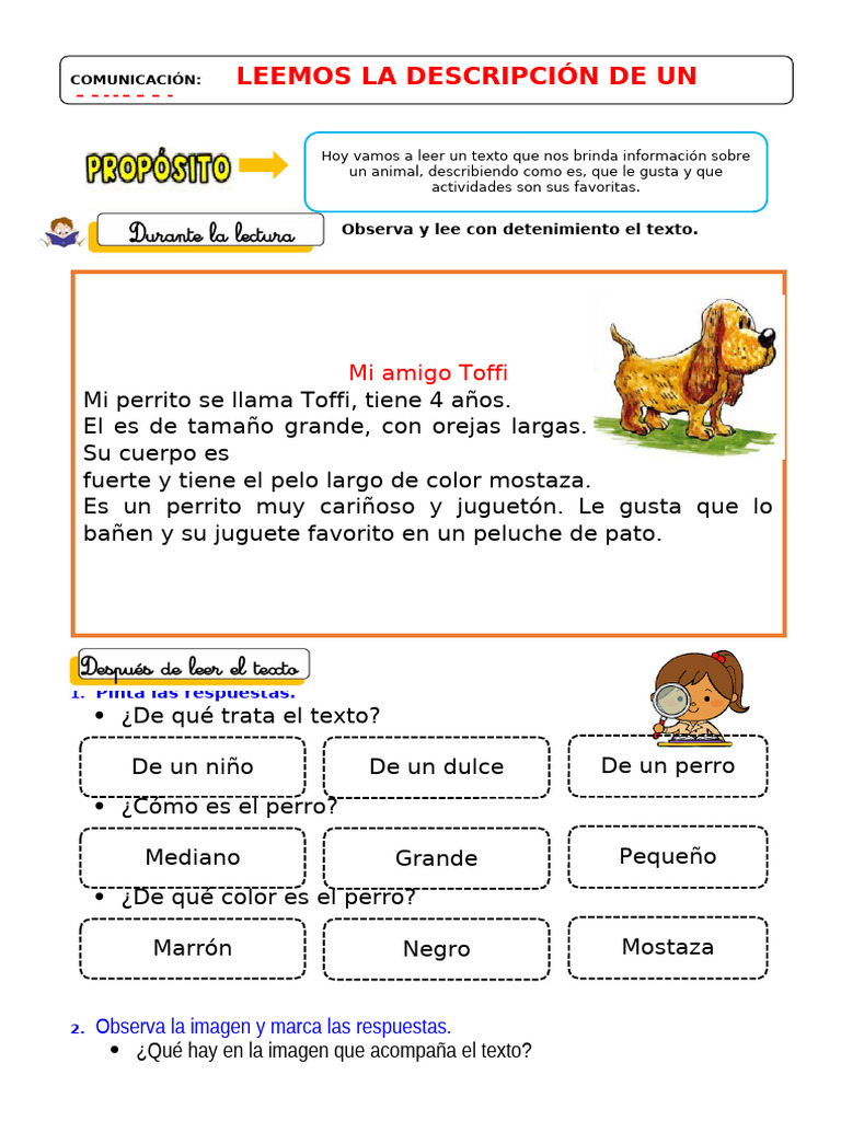 Descripción de perros para niños | PDF | Perros