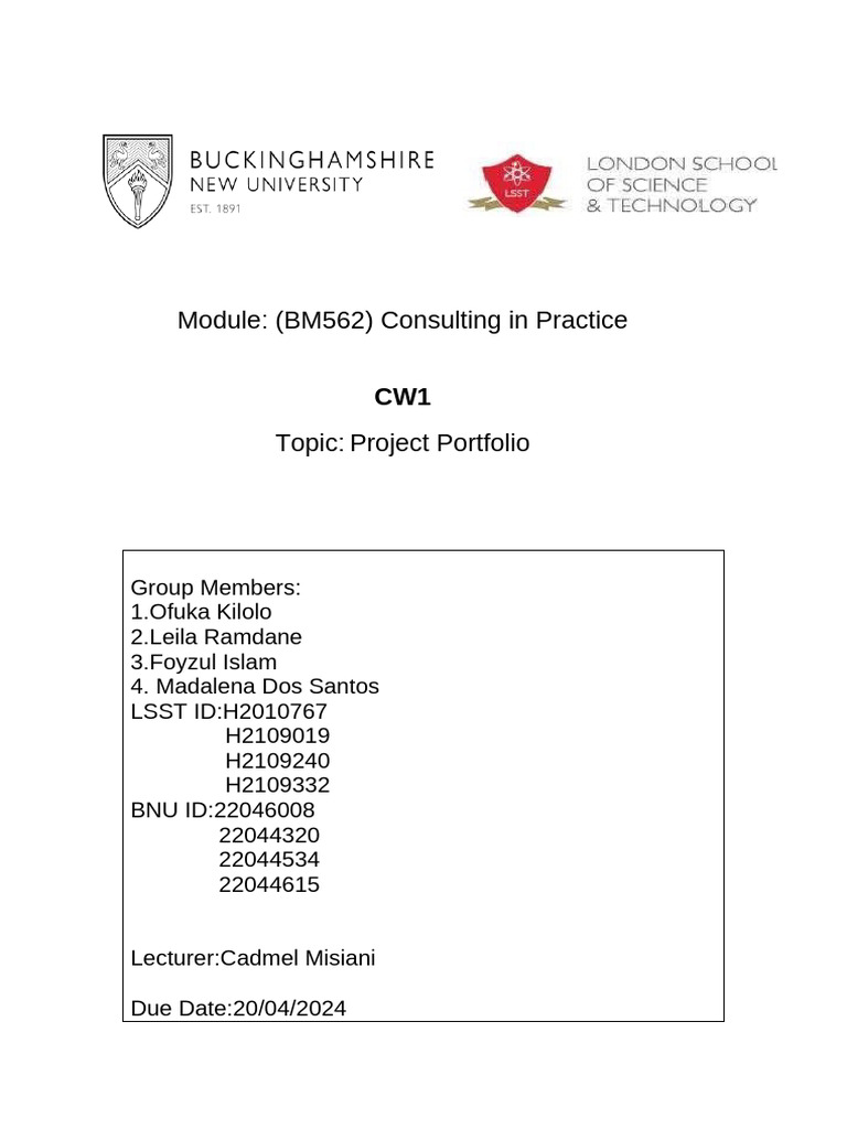 Bibiche BM562 - CIP - CW1 - Portfolio | PDF | Computer Security | Security