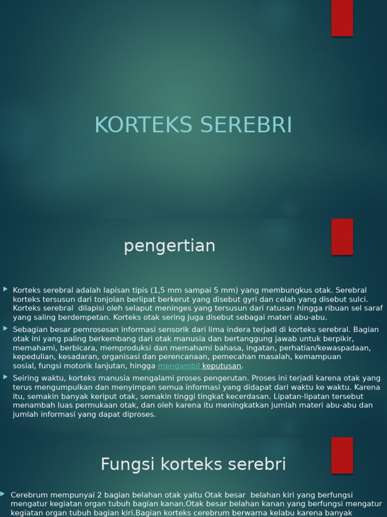 Anatomi Korteks Otak | PDF