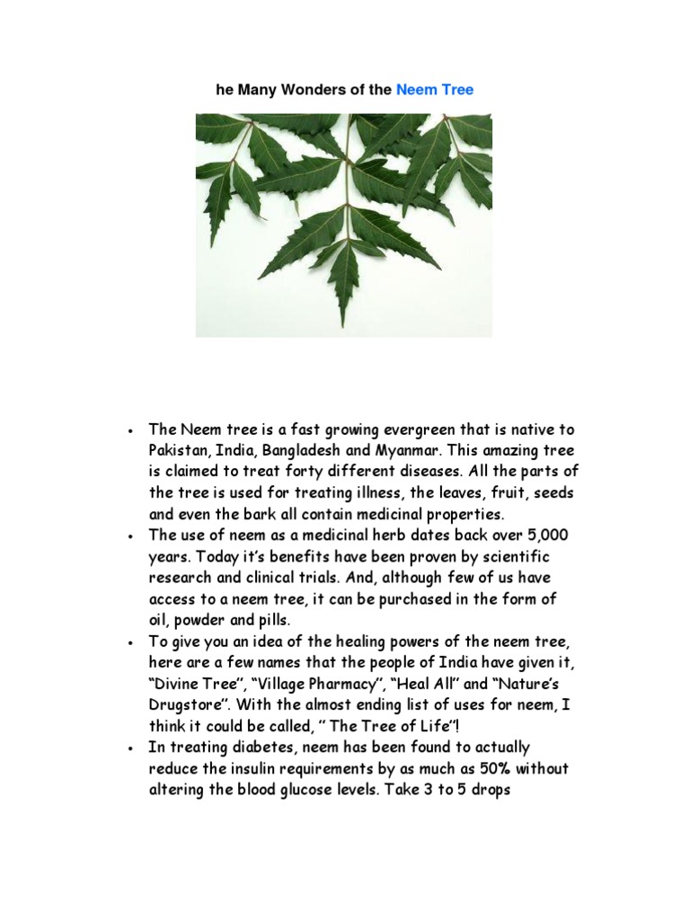 He Many Wonders of The: Neem Tree | PDF | Common Cold | Infection