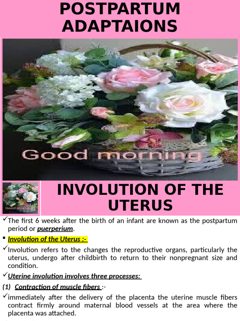 Postpartum Adaptations Overview | PDF | Postpartum Period | Vagina
