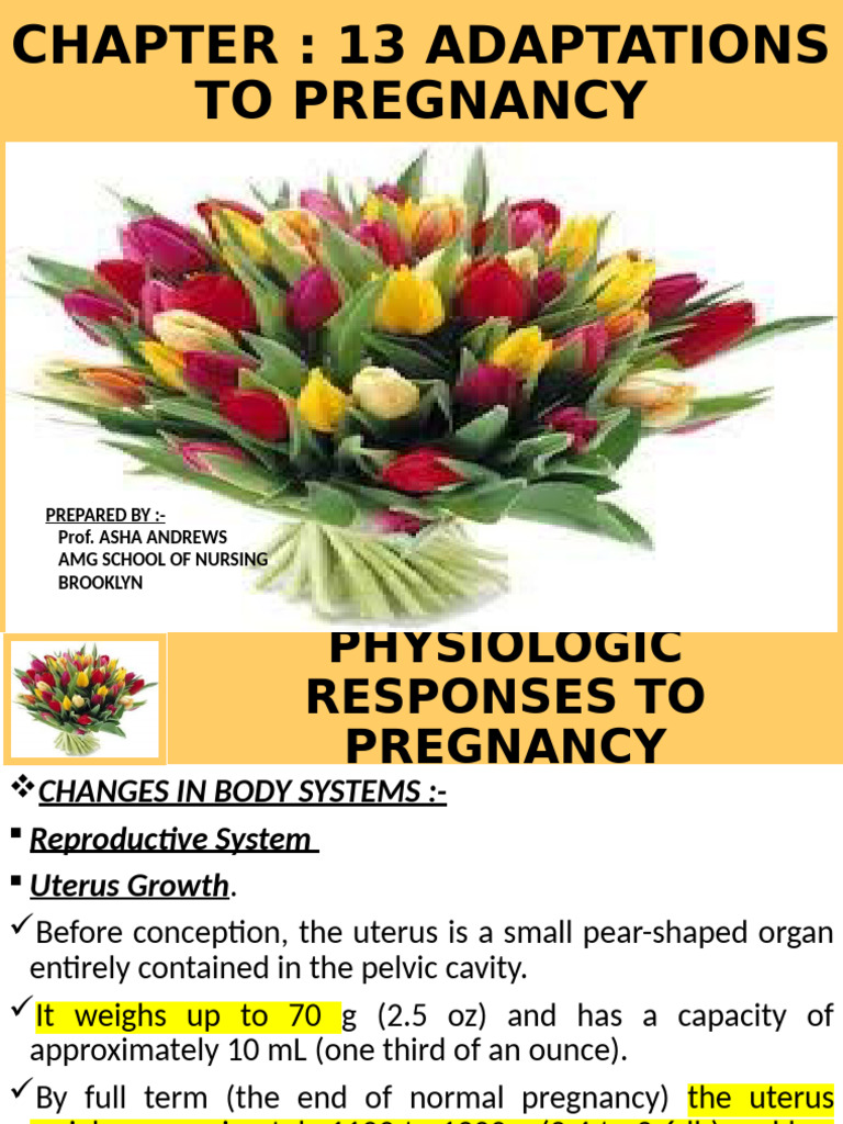Physiological Changes During Pregnancy | PDF | Pregnancy | Childbirth