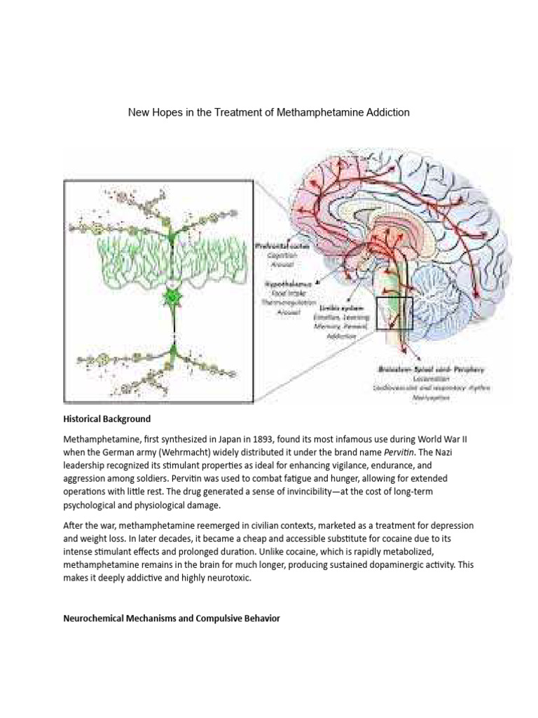 New Hopes in The Treatment of Methamphetamine Addiction | PDF | Methamphetamine | Dopamine