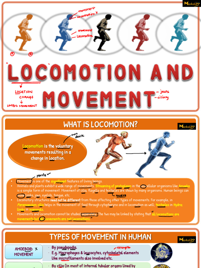 Locomotion and Movement - f2c6c44f Ec3e 413b 916c 033cb6888010 | PDF ...
