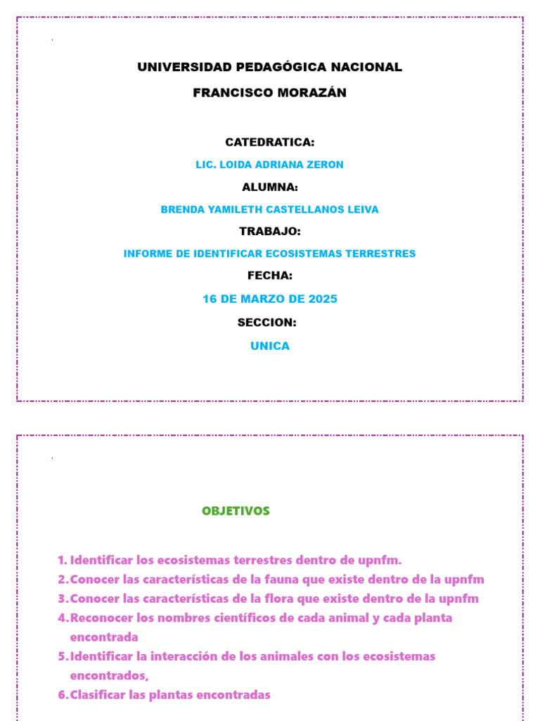 practica de ecosistemas | PDF | Entorno natural | Mango