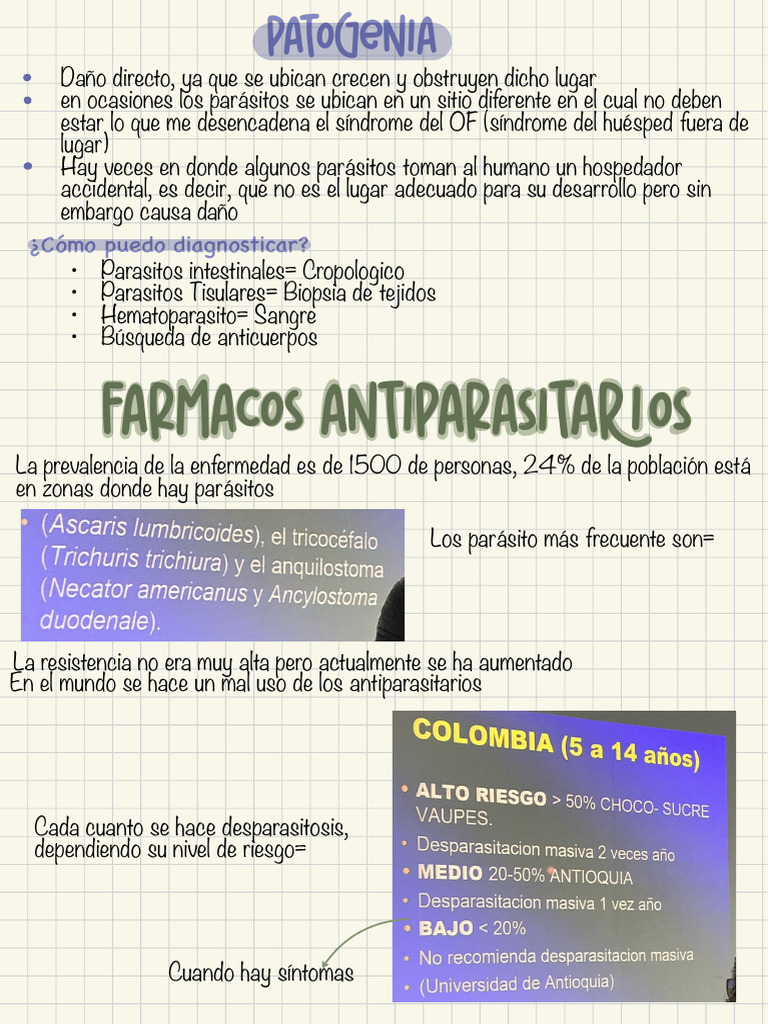 Defensa y Control Metabólico | PDF