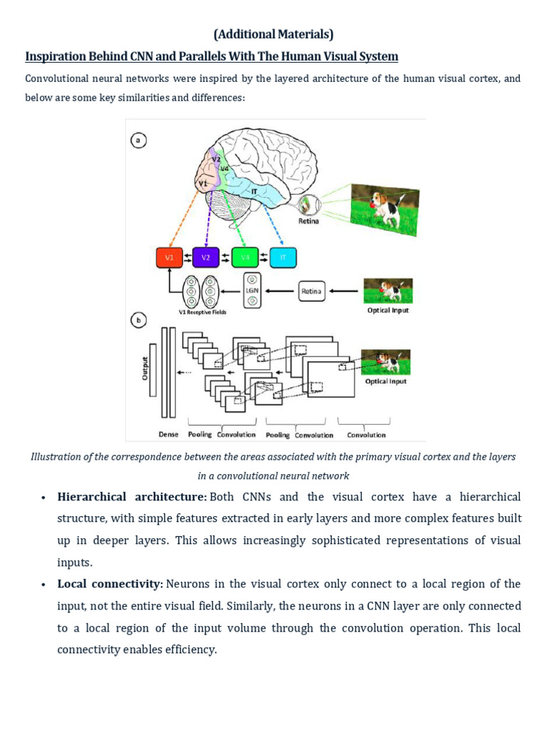 Convolutional Neural Networks 2 Now | PDF | Artificial Intelligence | Intelligence (AI) & Semantics