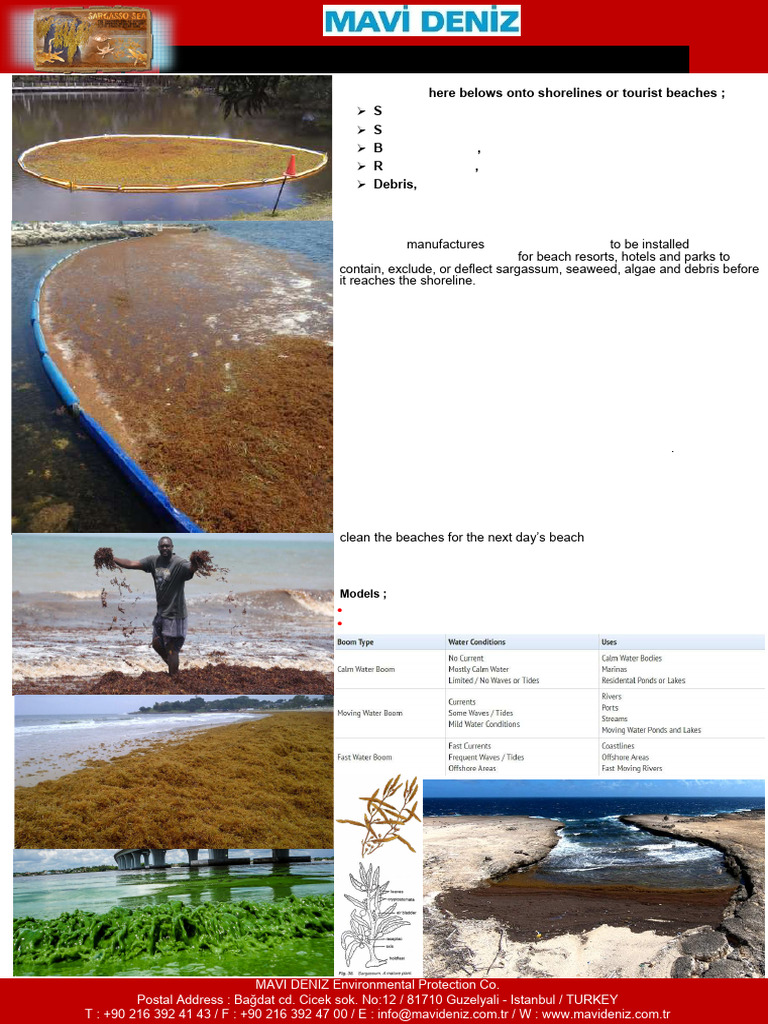 Aquatic Plant Boom Catalog | PDF | Earth Sciences | Physical Geography