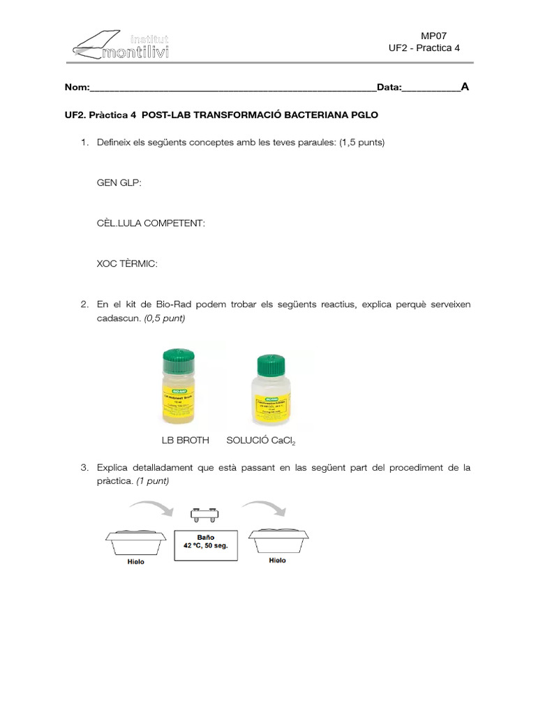 PT4. Post-Lab A. | PDF