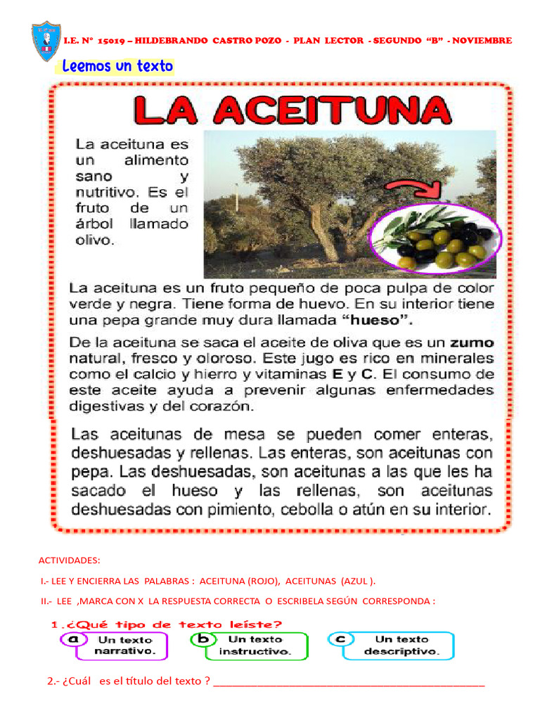 ACEITUNA | PDF | Aceituna