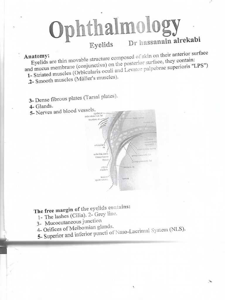 Eyelids | PDF